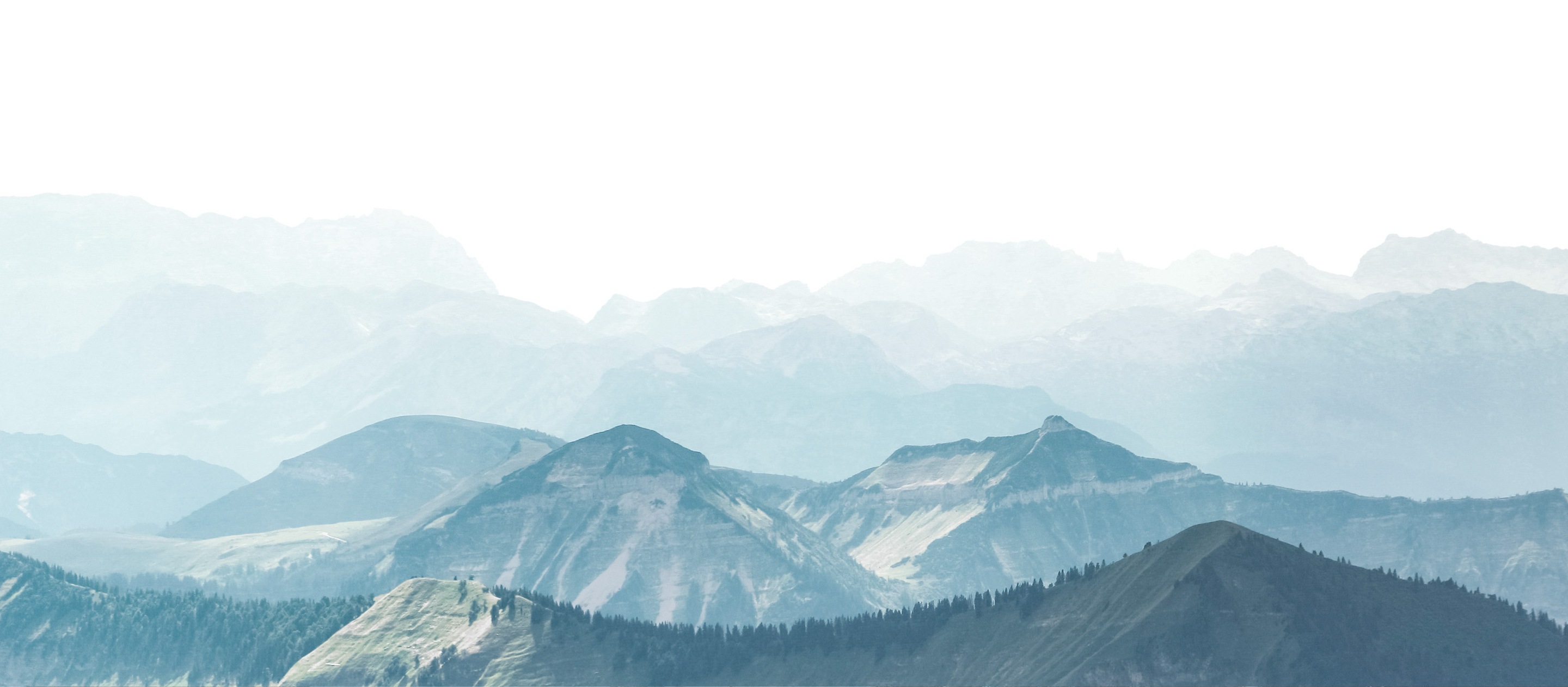 IRS Rules, FMV Reporting & Important Tax Forms… | STRATA Trust Company